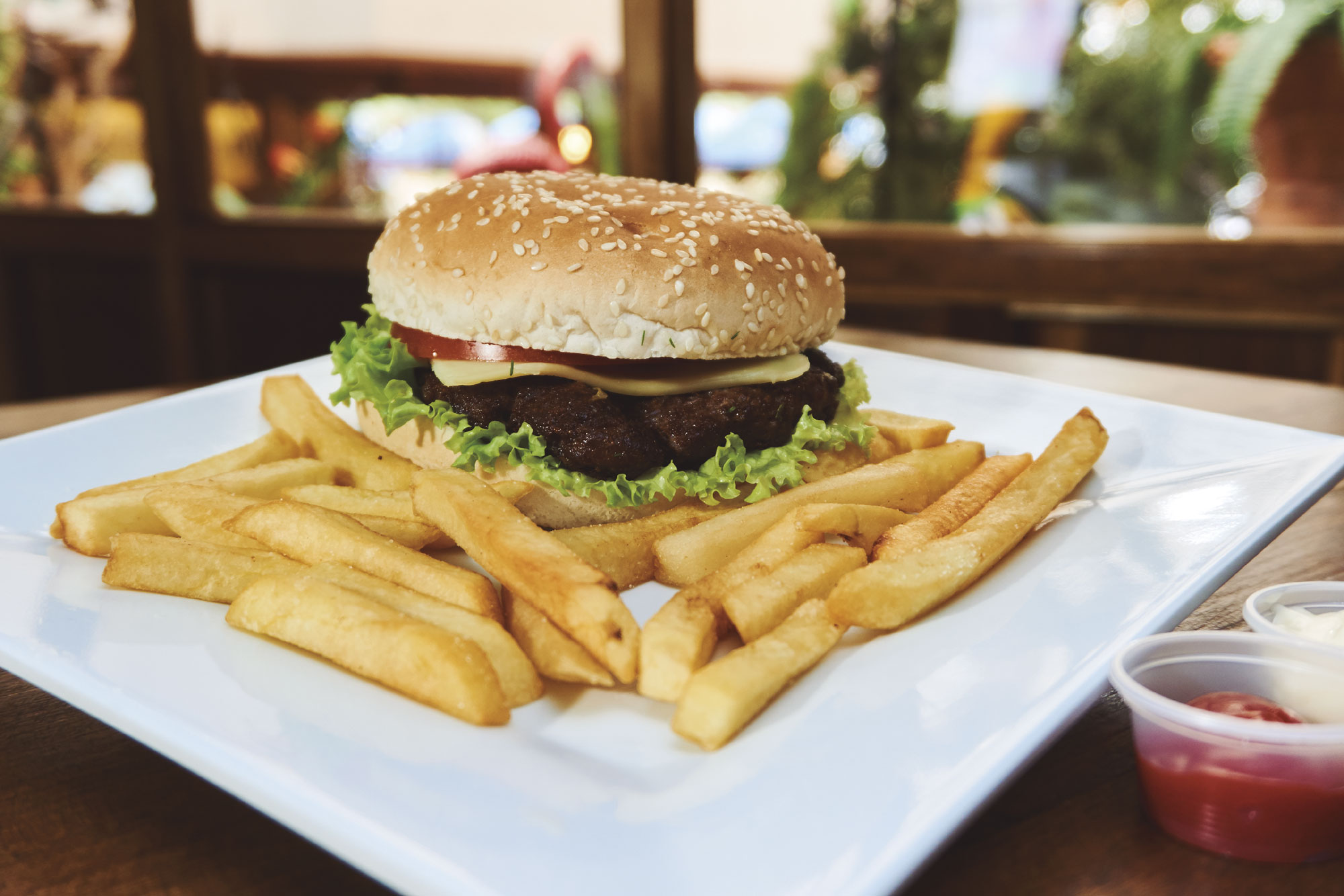 Parque Jaime Duque – Un Mundo de Experiencia en un solo Lugar