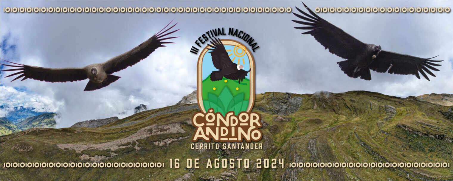 Cóndor de los Andes – Parque Jaime Duque